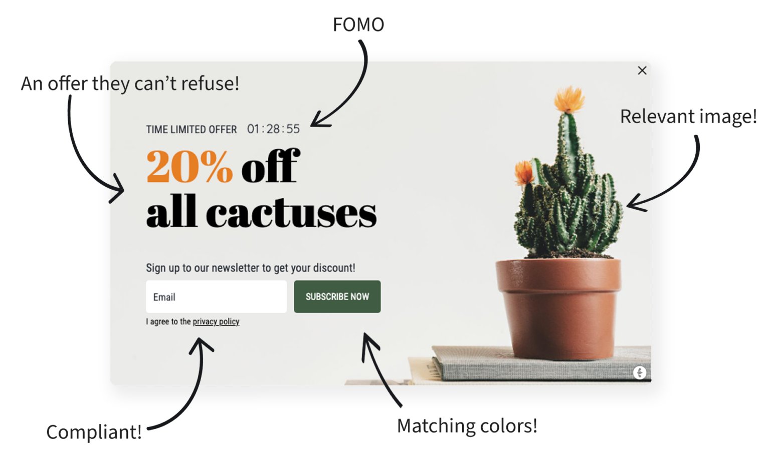 8 Keys to Creating a Converting Popup | Triggerbee