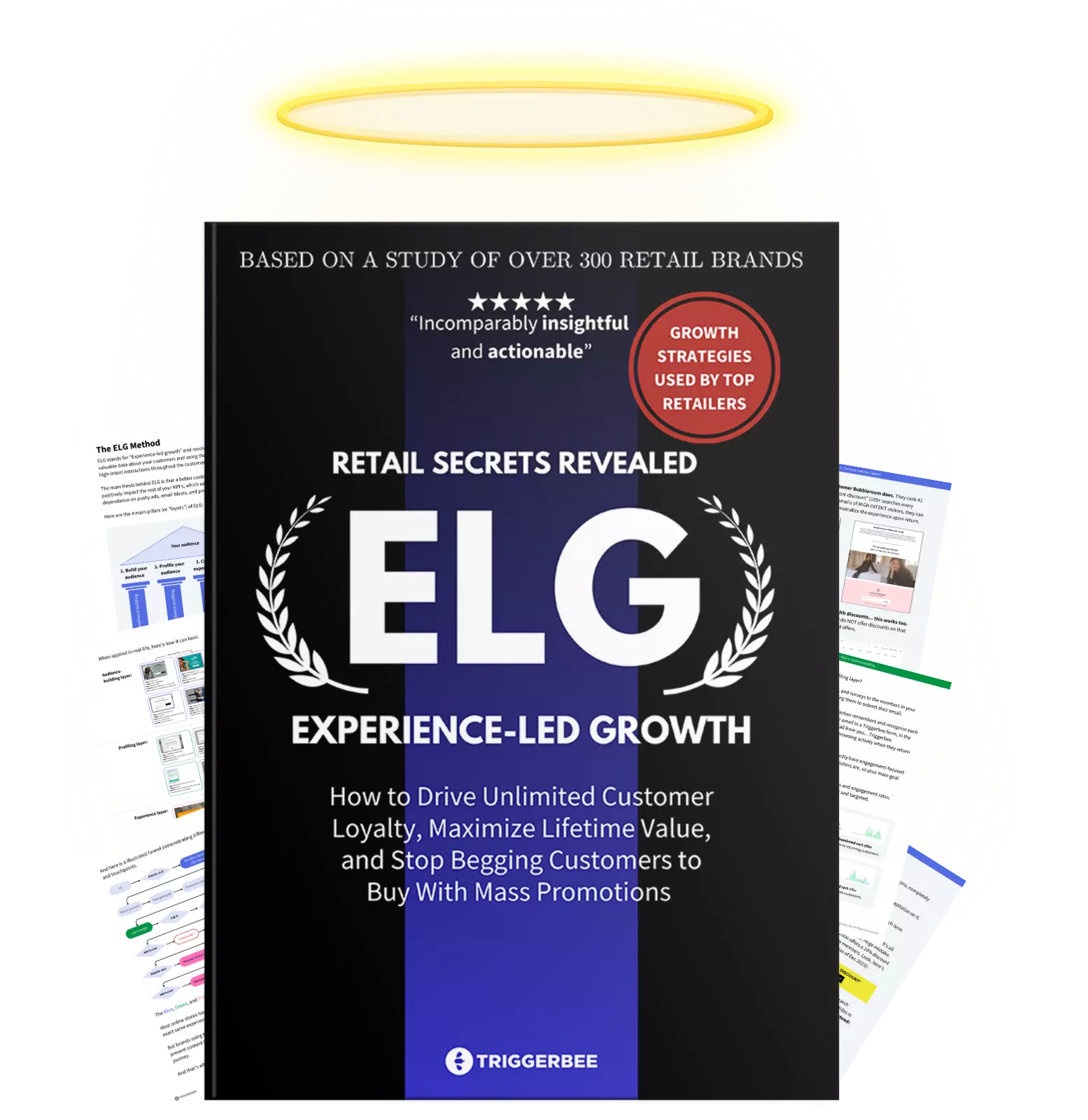 Experience-led Growth | Triggerbee